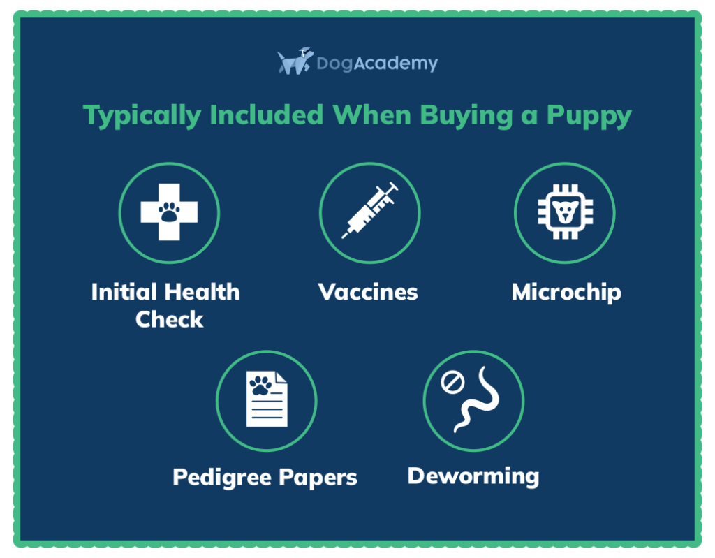 Puppies for Sale: How to Buy a Dog - Dog Academy